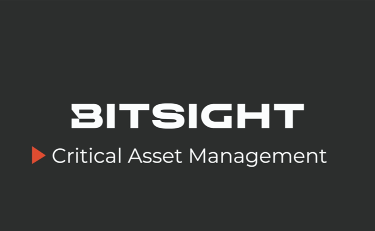 Third Party Critical Asset Management | Bitsight